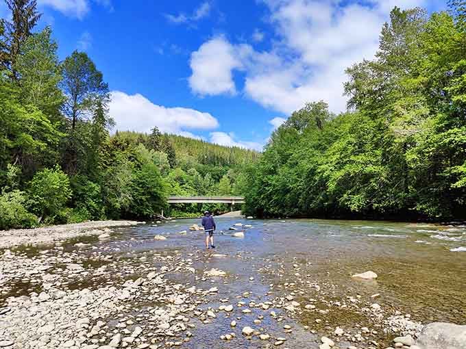 The rivers here run clear and cold, perfect for wading or just contemplating life's bigger questions.