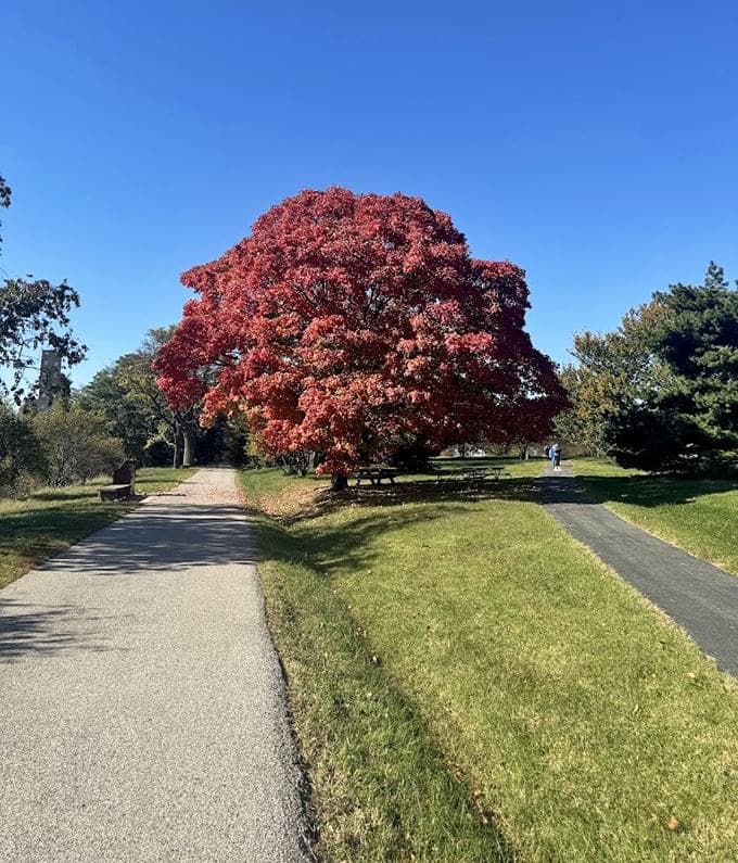 Waterside paths invite leisurely strolls where you can contemplate history while enjoying breezes that British warships once sailed through.