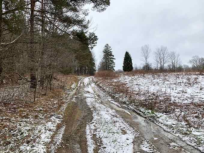 Winter trails proving that cold weather hiking builds character, or at least gives you stories to tell.