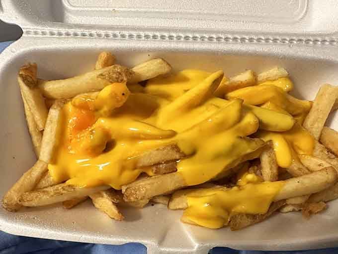 Cheese fries that make you question why anyone would eat potatoes any other way. The answer: there isn't one.