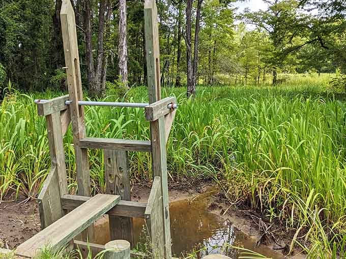 This wooden structure controlled water flow for rice cultivation, proving that engineering existed long before computers did everything.