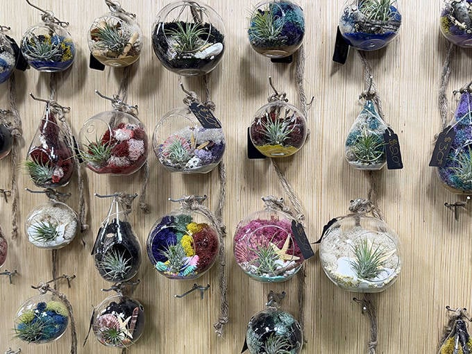 Tiny worlds suspended in glass. These air plant terrariums bring the zen of a Japanese garden to your kitchen window.