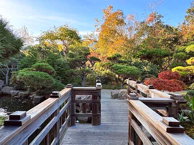 This wooden bridge in autumn is basically nature showing off, and we're absolutely here for the performance.