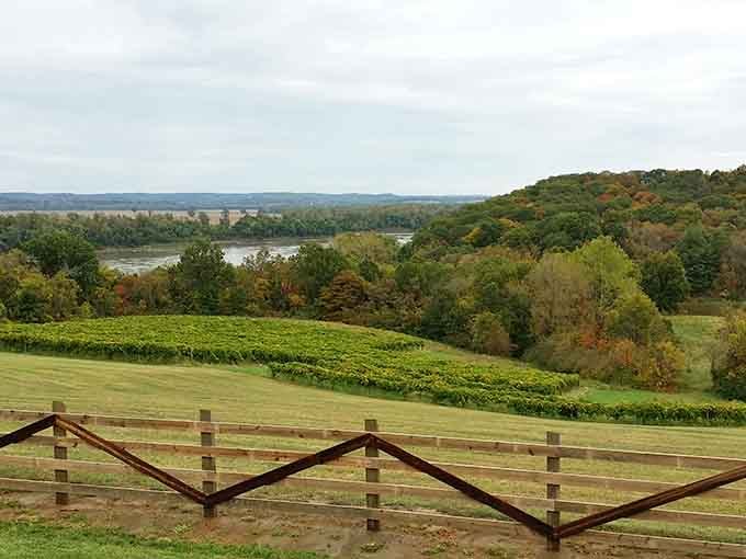 Vineyards rolling down to the Missouri River create views that make you forget you're in the Midwest entirely.