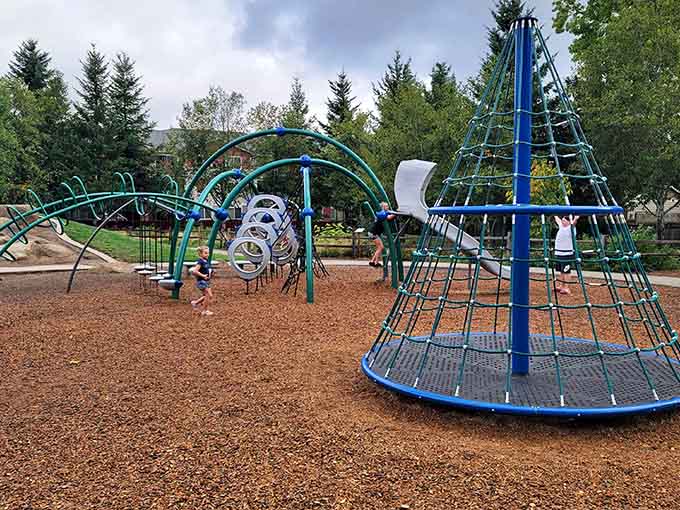 The obstacle course challenges young adventurers to climb, balance, and conquer like miniature American Ninja Warriors training.