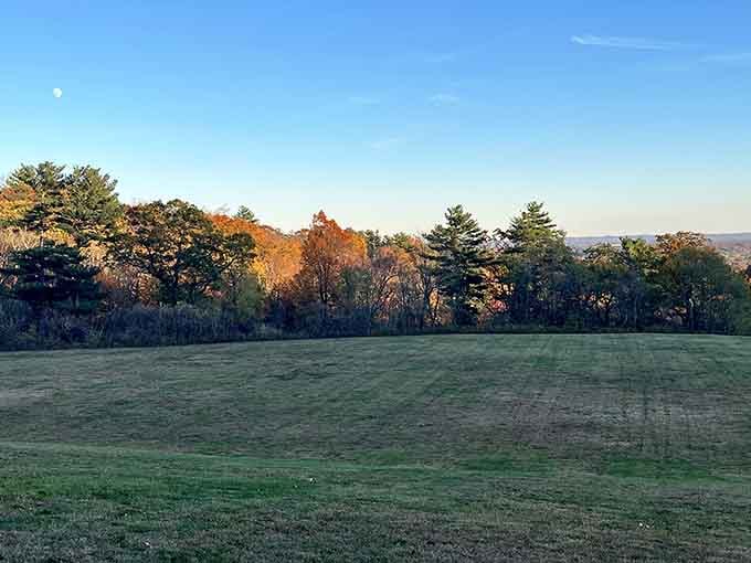 Golden hour bathes the hillside in that magical light photographers dream about all year.