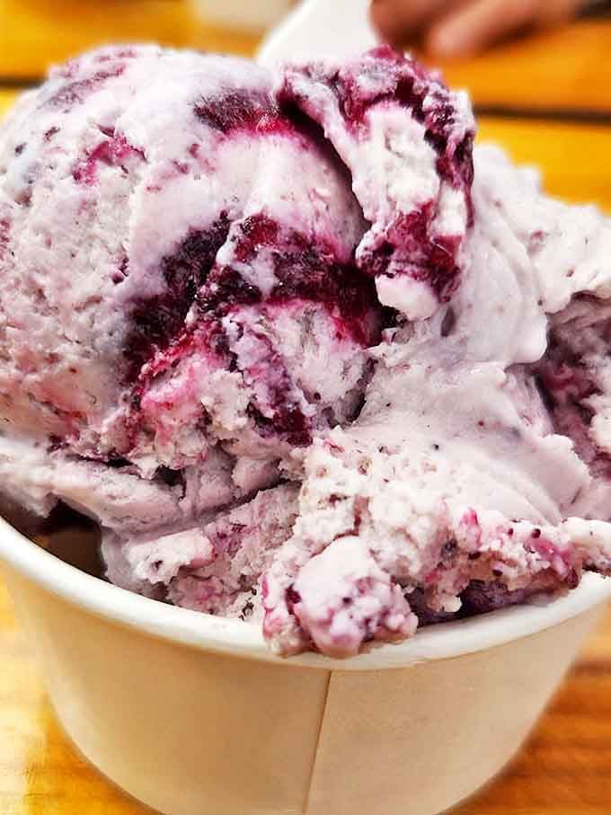 Summer in a cup. This wild blueberry ice cream swirl captures Maine's seasonal bounty in a form that makes you want to lick the container clean.