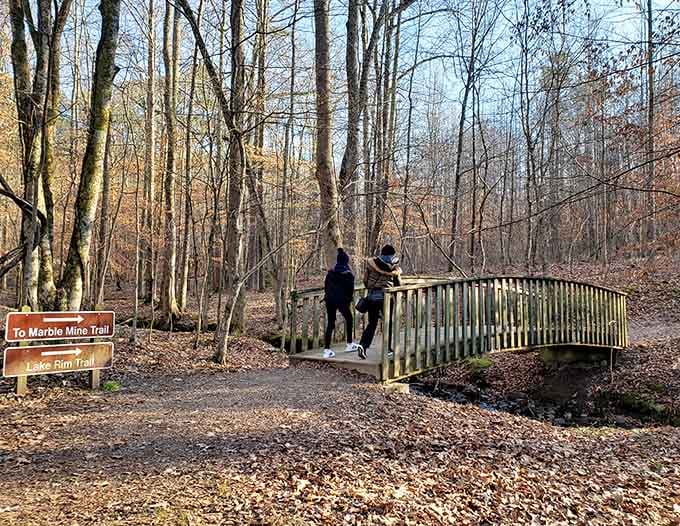 Trail bridges like this make you feel like you're in a fairy tale, minus the wicked witch.