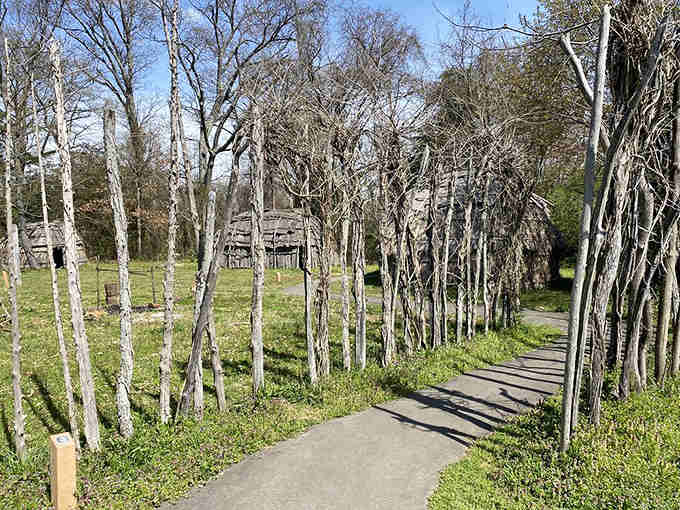 This paved pathway through bare trees leads you gently through time, one comfortable step at a time.