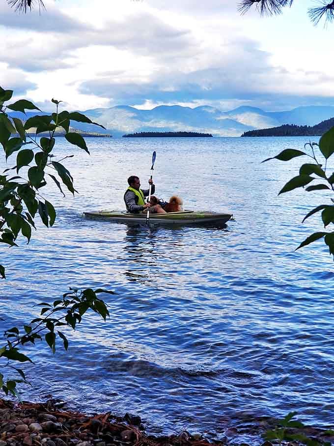 Adventure calls from every ripple! A peaceful paddler and furry first mate explore Flathead's vast blue canvas, where every stroke reveals another postcard moment.