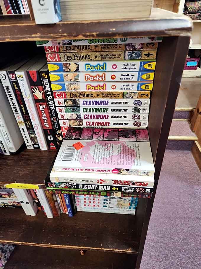 Manga collections that would make any anime fan weep tears of joy and empty their bank account.