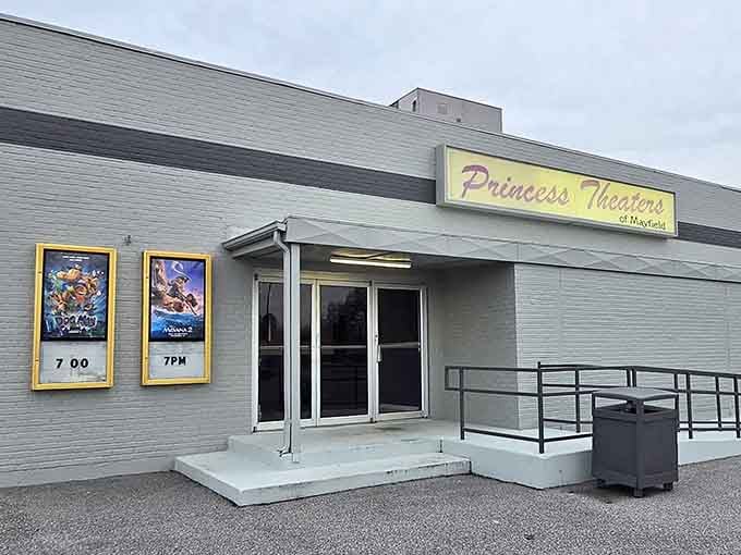 Movie theaters where you can actually afford popcorn and still have money left for dinner.