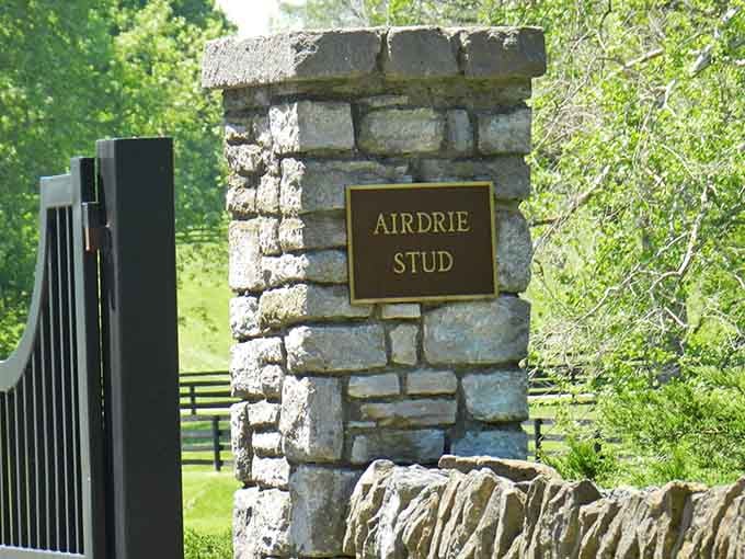 Airdrie Stud's entrance announces you're entering thoroughbred royalty territory, where Kentucky's equine heritage lives and breathes.