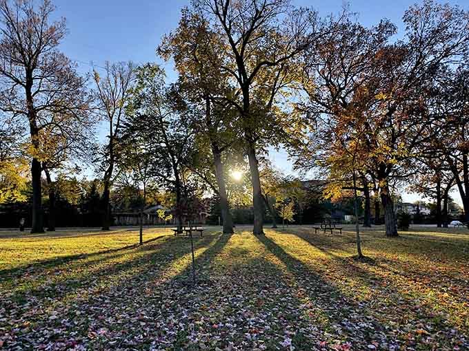 Late afternoon sun stretches shadows across the park, painting the kind of scene that makes you grateful for simple pleasures.
