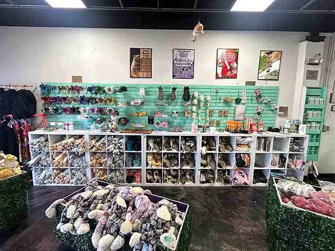 The gift shop is dangerously well-stocked with cat-themed merchandise that'll have you leaving with more than you planned to buy.