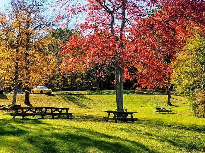 These picnic tables under autumn trees are basically begging you to pack a lunch and stay awhile.