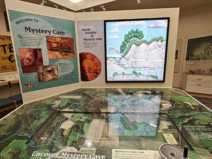 Interactive exhibits explain how water carved this underground masterpiece one patient drop at a time over eons.