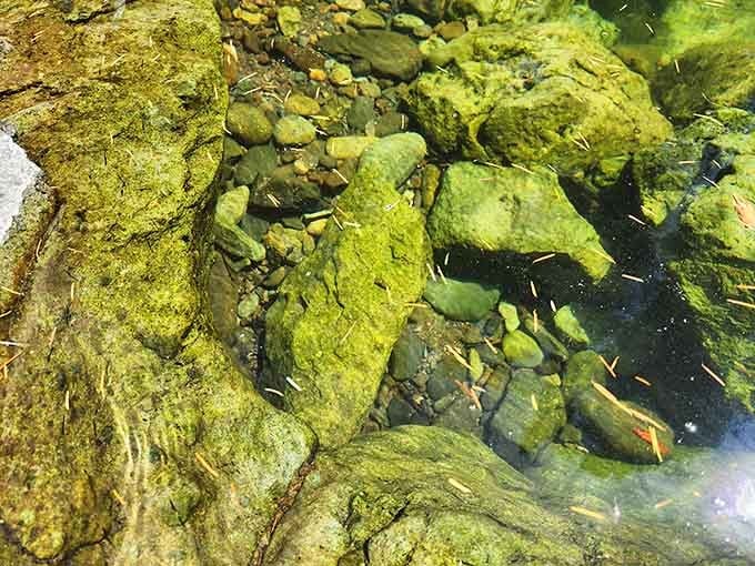 Water so clear you can count every pebble below, like looking through your reading glasses for the first time.