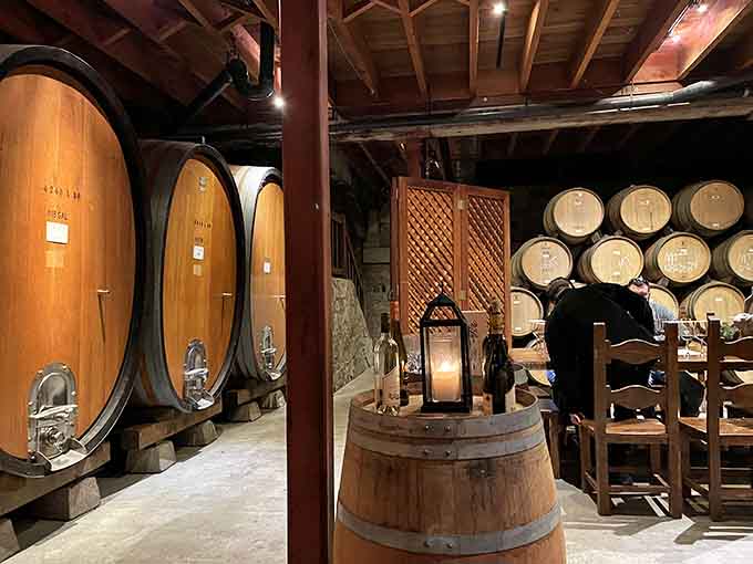Wine barrels stacked like delicious wooden promises, aging their contents into something worth the wait and the trip.