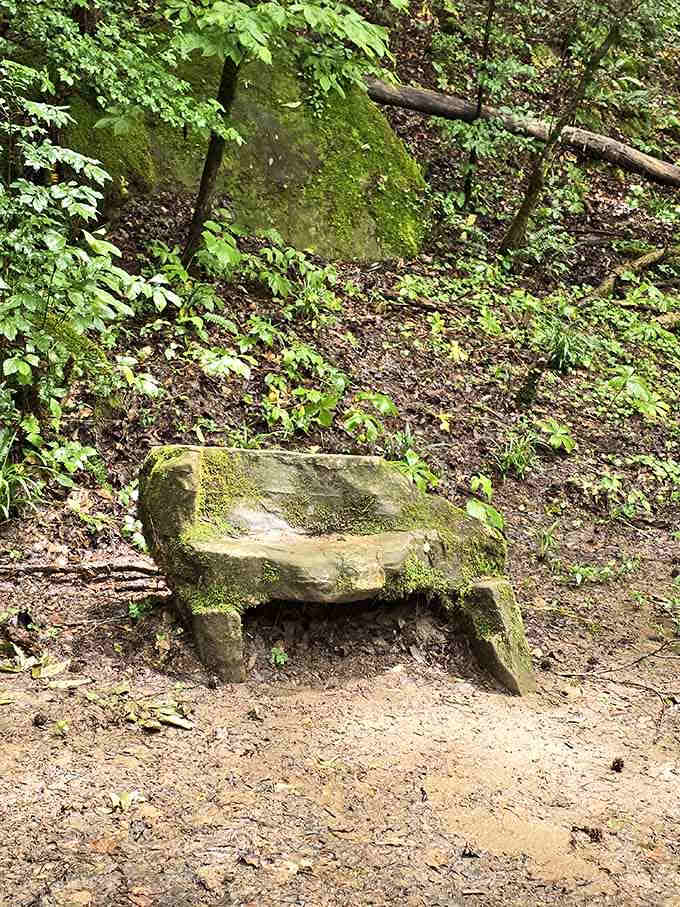 This stone bench has witnessed countless visitors experiencing their first glimpse of the bridge, each reaction equally priceless.