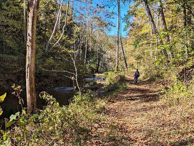 Autumn trails wind through forests ablaze with color, proving nature's palette never goes out of style.