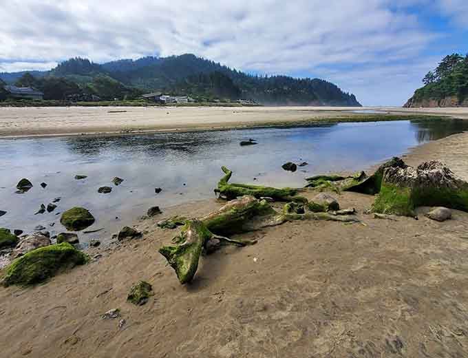 Moss-covered remnants tell stories that predate your great-great-great-grandparents by a few centuries.