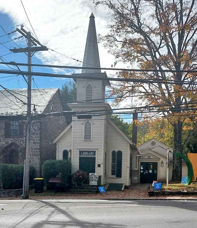 A converted church now houses books instead of pews, proving that sacred spaces can still inspire even without the hymns.