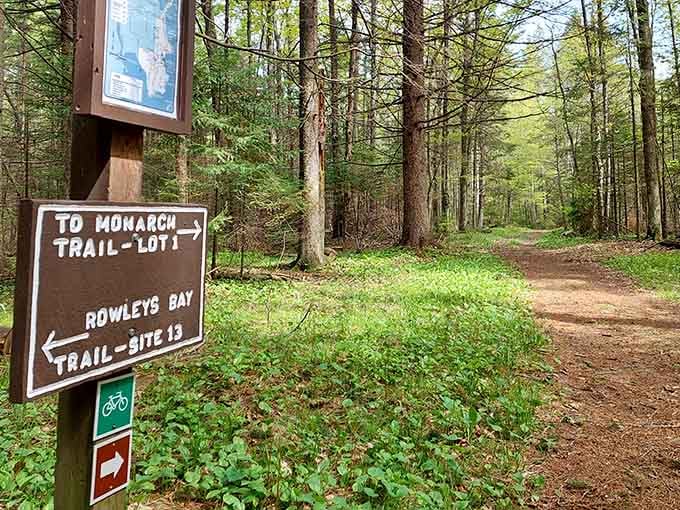 Choose your own adventure: Monarch Trail or Rowleys Bay Trail, both leading to pure magic.