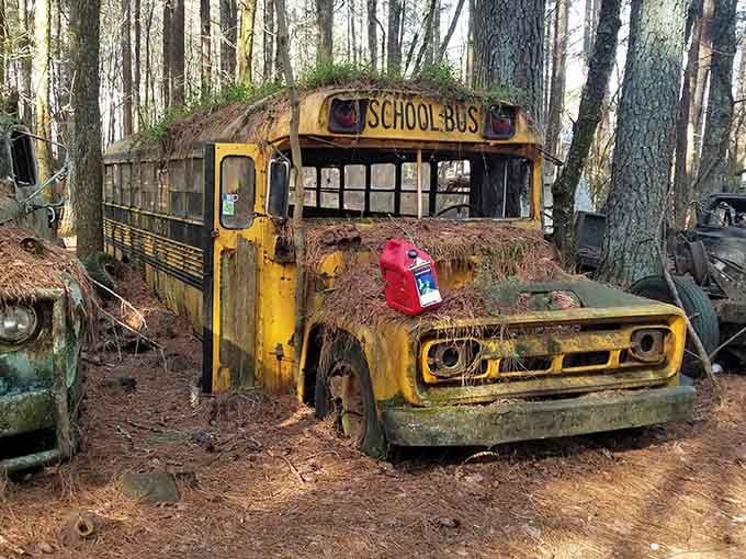 This school bus has reached its final stop, now serving as a classroom for moss and vines.