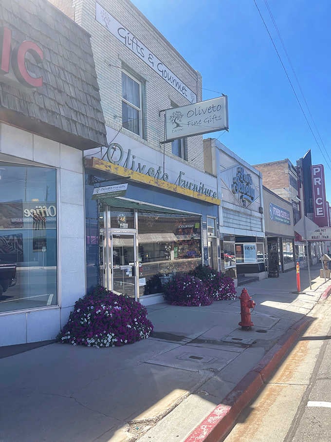 Downtown storefronts bloom with character and actual flowers, proving small-town pride doesn't correlate with cost of living.
