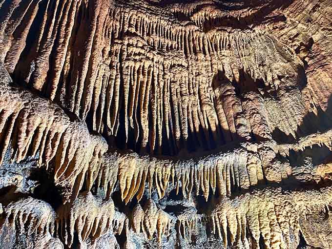 Row after row of stalactites create a ceiling that looks like it belongs in a fantasy movie.