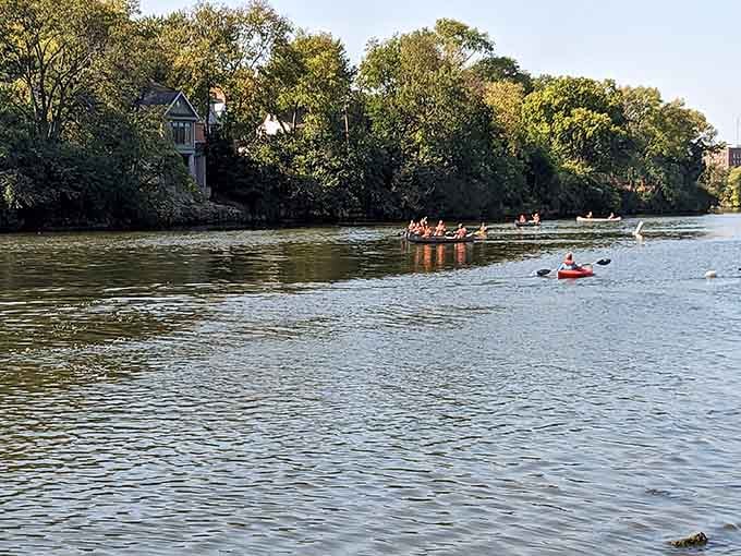 Kayakers navigate the Fox River while dragon boats glide past, proving water recreation comes in many delightful forms.