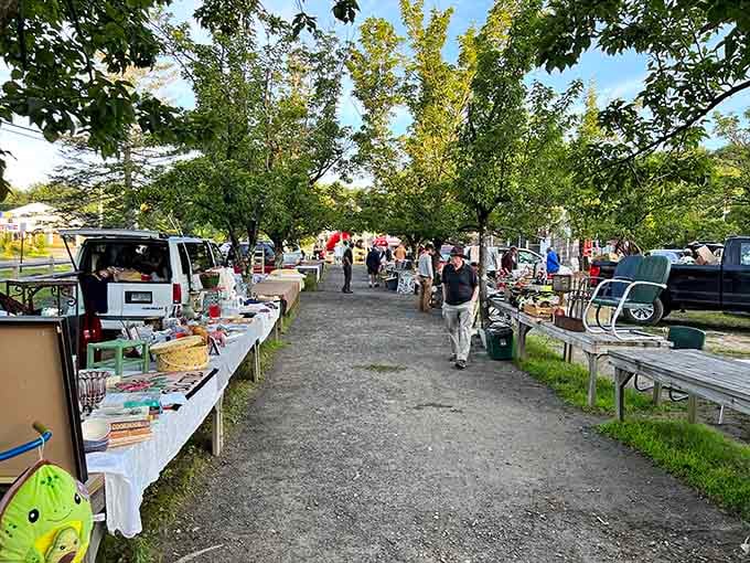 Maine's outdoor antique markets—where treasure hunting happens under the canopy of trees instead of fluorescent lights.