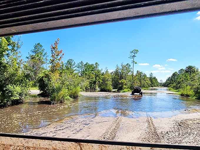 Sometimes Florida roads become temporary rivers, because the state likes to keep things interesting and unpredictable.