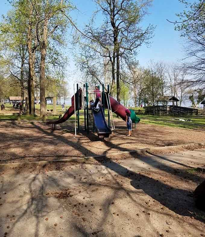 Childhood joy nestled among ancient trees. This playground offers the perfect energy release for little explorers between nature hikes and history lessons.