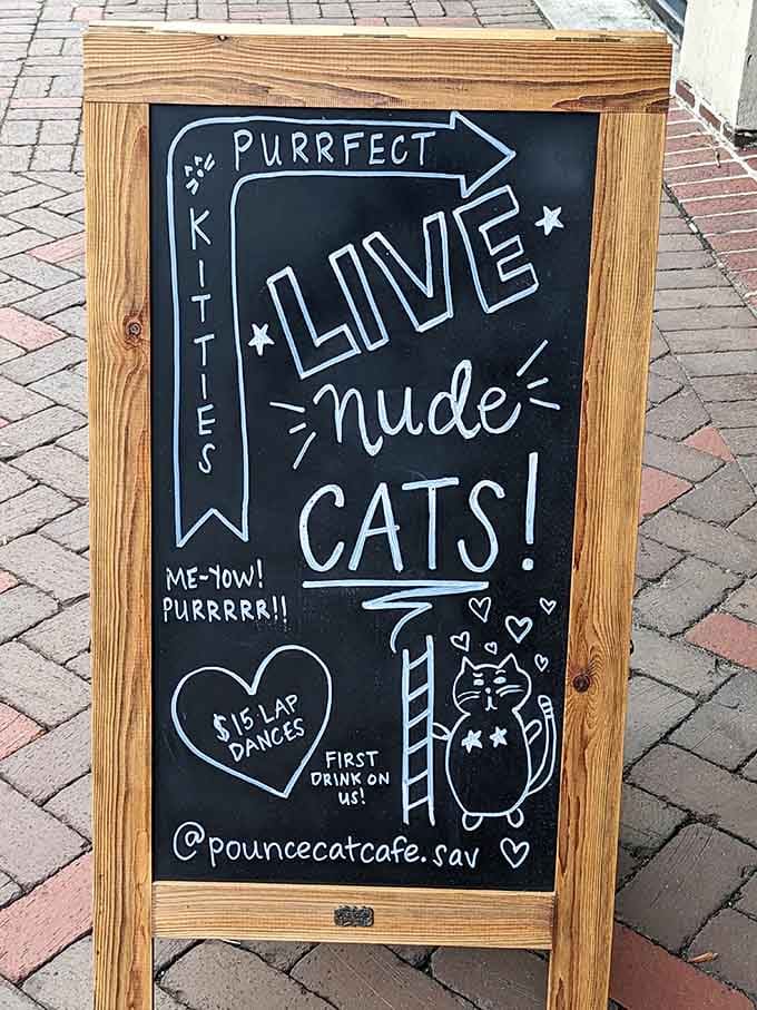 "Live Nude Cats" might be the best sidewalk sign ever written, combining humor with honest advertising brilliantly.