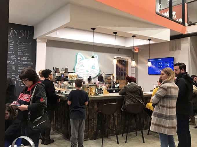 The bar stays busy because apparently people need cocktails before committing to adopting a cat who'll ignore them forever.