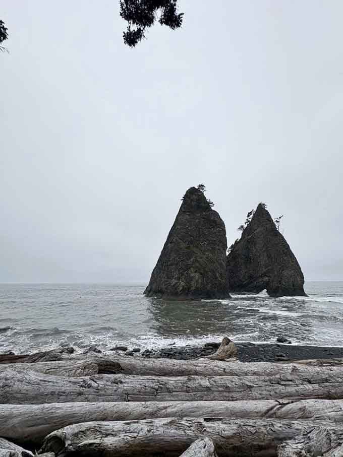When fog rolls in, the beach becomes an ethereal landscape where reality blurs into something almost magical.