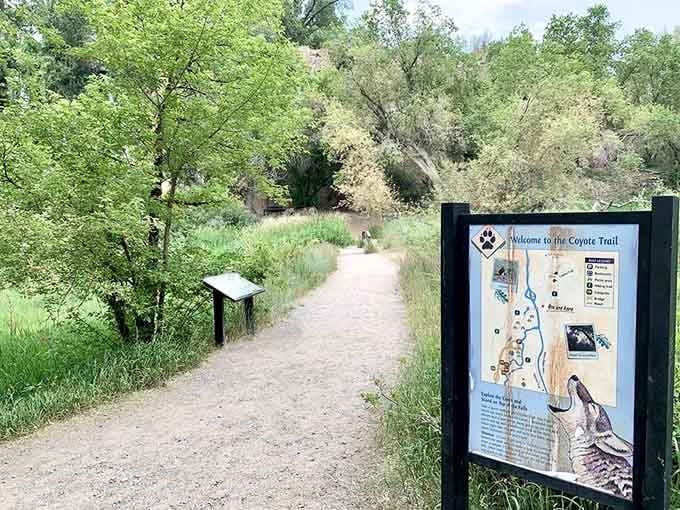 The Coyote Trail welcomes you to explore beyond the falls and into Colorado's hidden canyon country.