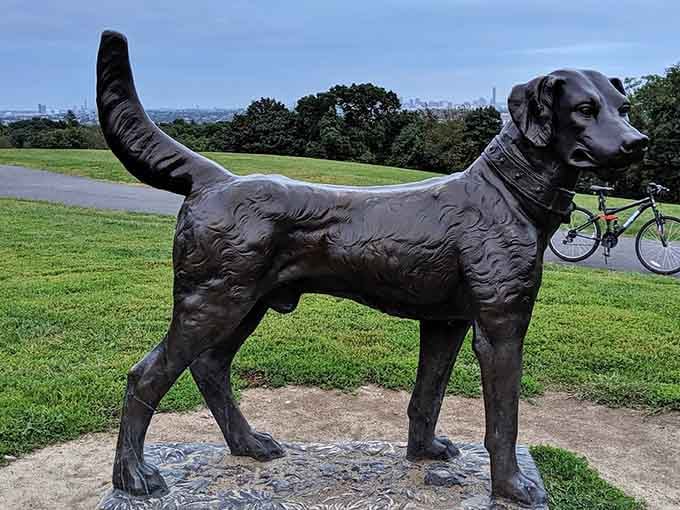 Even the dog statue gets to enjoy that million-dollar skyline view all day long.