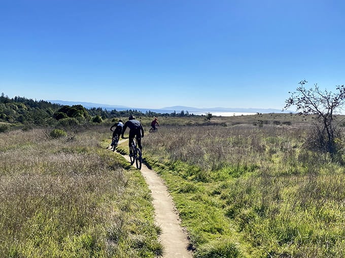 Biking through Wilder Ranch with ocean views makes you forget you're technically getting exercise.