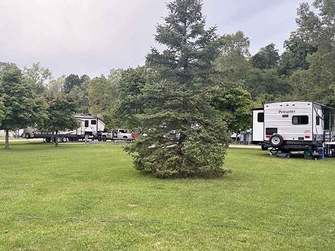 RV camping where your neighbors are trees and the morning alarm is birdsong instead of traffic horns.