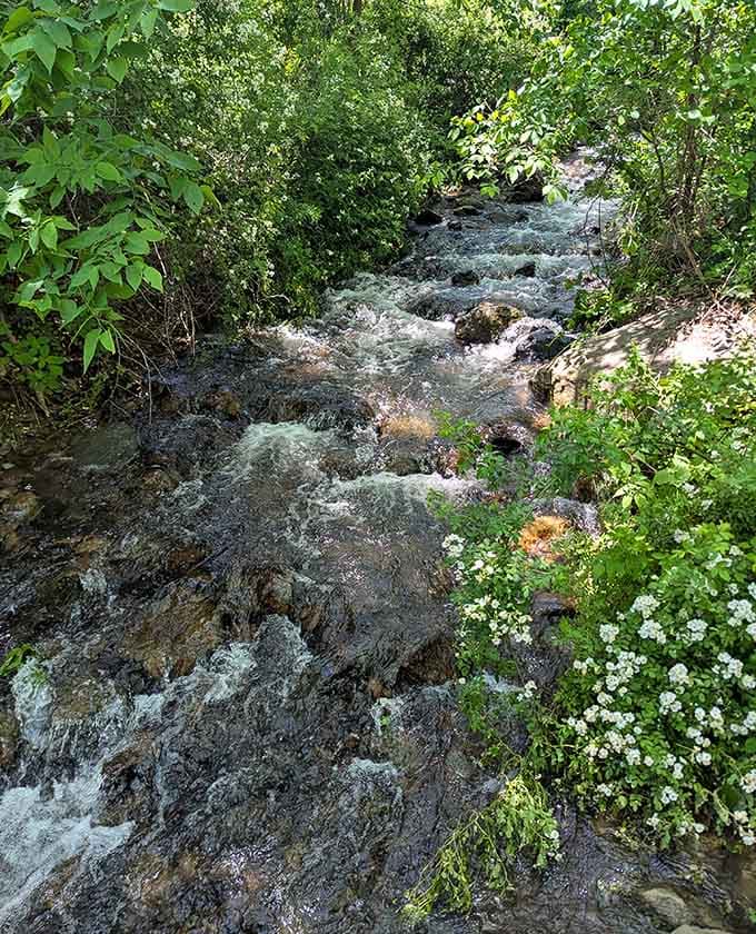 Streams bubbling along like nature's own soundtrack, better than any meditation app.