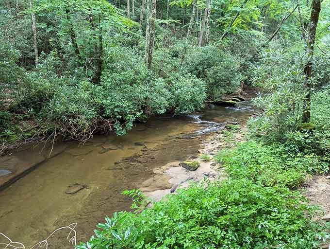 Looking Glass Creek meanders peacefully through the forest before transforming into nature's wildest water park attraction.
