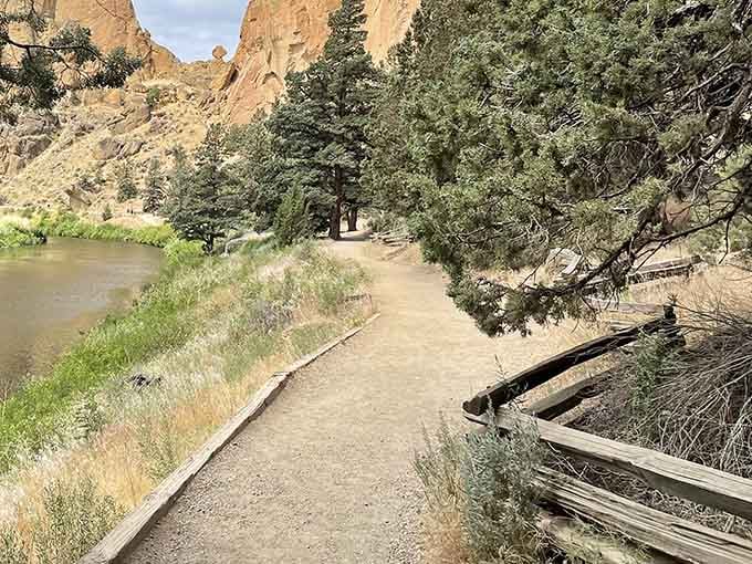 The Wolf Tree Trail winds along the river, offering an easier path for those who prefer scenery without vertigo.