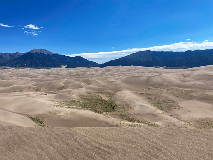 Hardy vegetation clings to life between the dunes, proving nature always finds a way to crash the party.