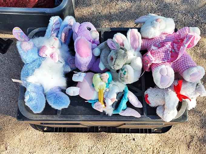 Plush pals seeking forever homes. These gently-loved bunnies are ready to hop into the arms of their next young owner.