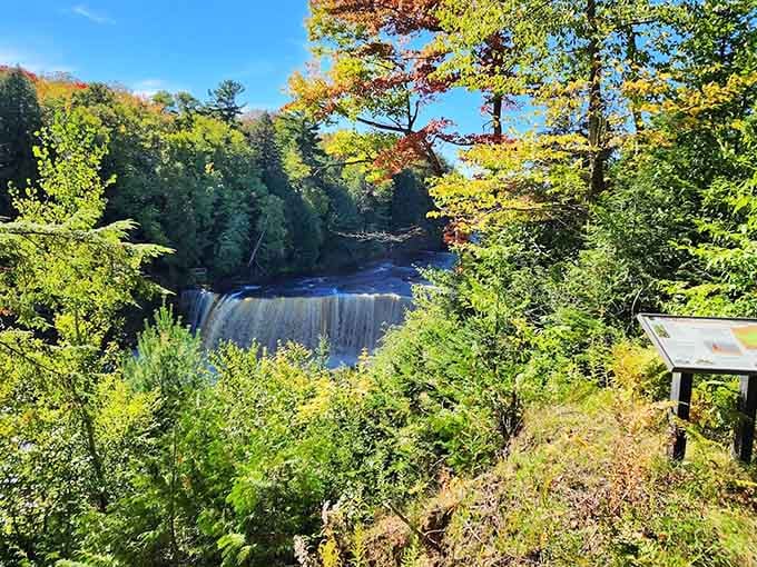The falls peek through the trees like nature's best-kept secret finally ready for its close-up.