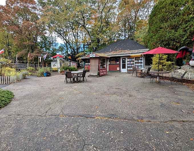 The courtyard setup creates a literary village where every shed holds different treasures waiting inside.