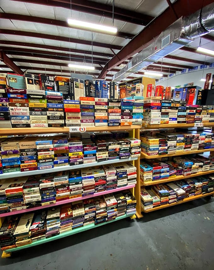 VHS tapes in the wild, a nostalgic throwback for anyone who remembers the satisfying click of movie night.